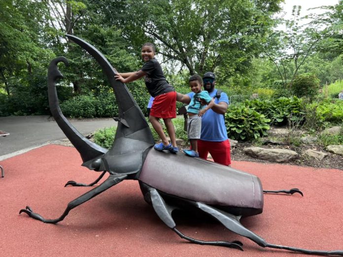 Mom's Guide to Local Free Activities