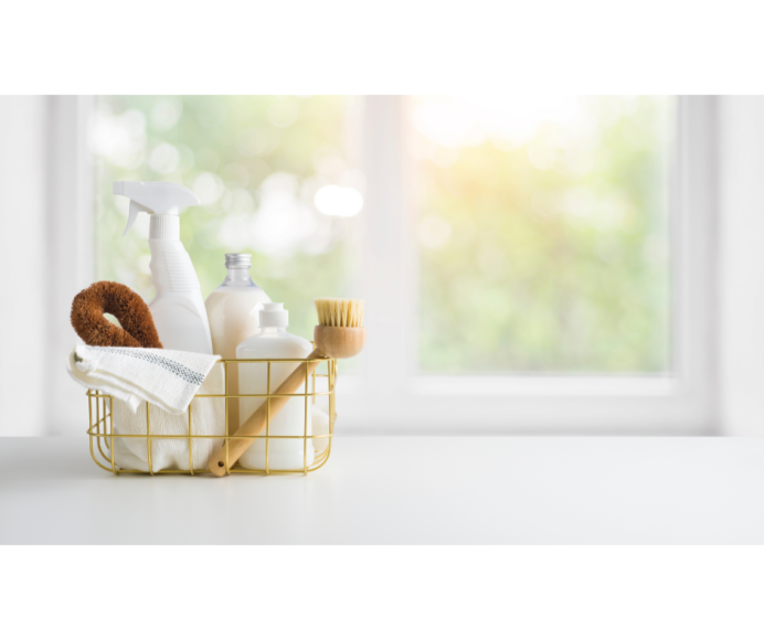 Safe Cleaning on a Budget: Quick and Easy Swaps!