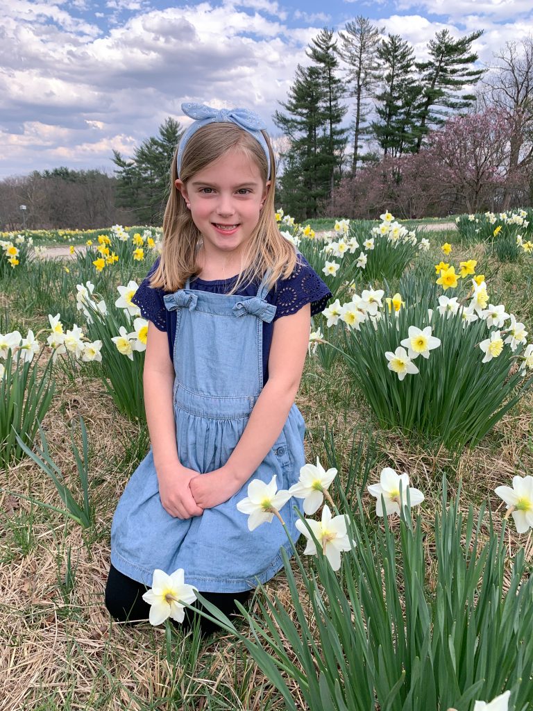 Spring Flowers: My Favorite Places to See them in St. Louis