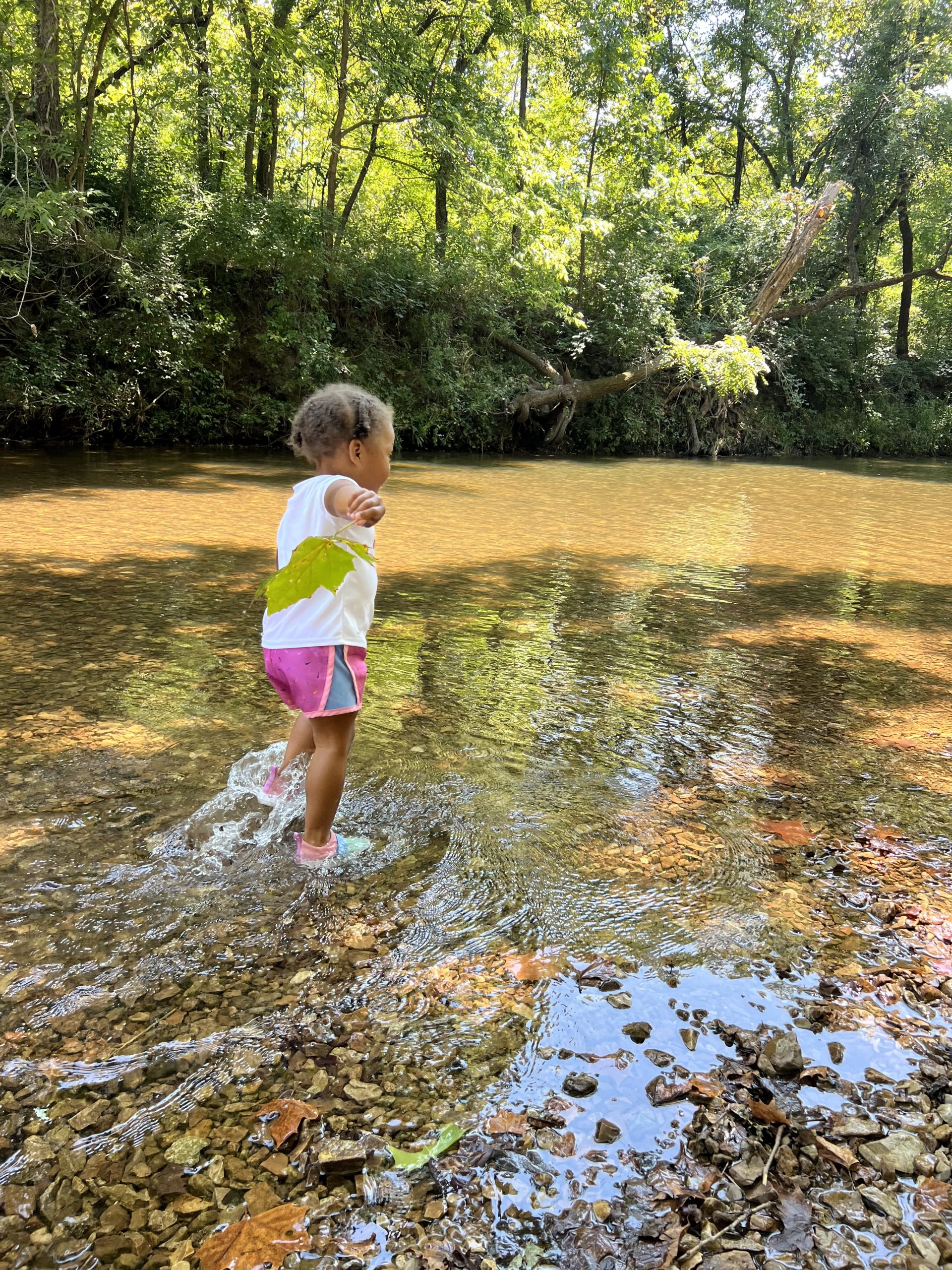 6 Creeks We Love In and Around St. Louis