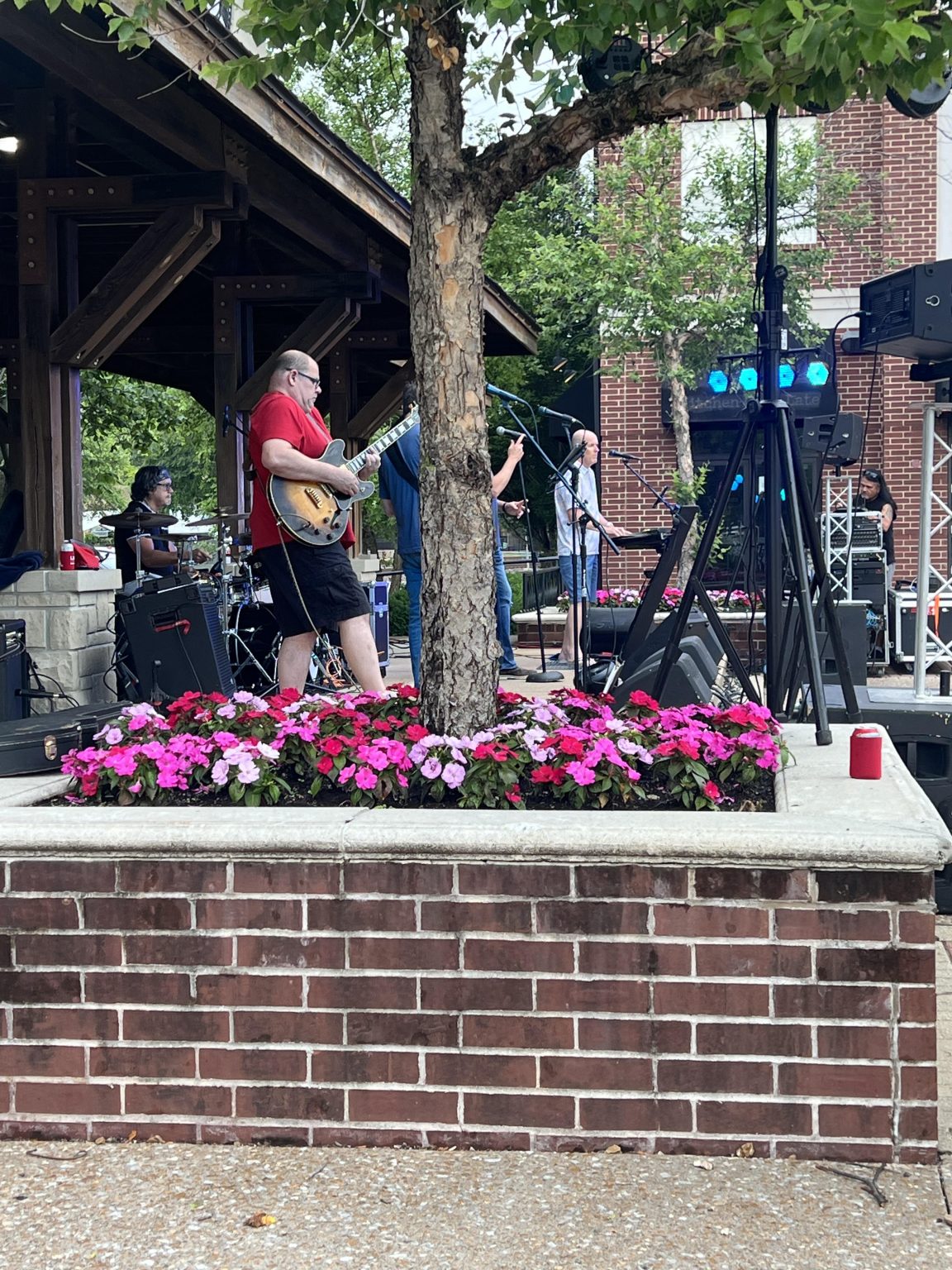 St. Louis Family Concert Guide: Summer Nights + Sweet Tunes
