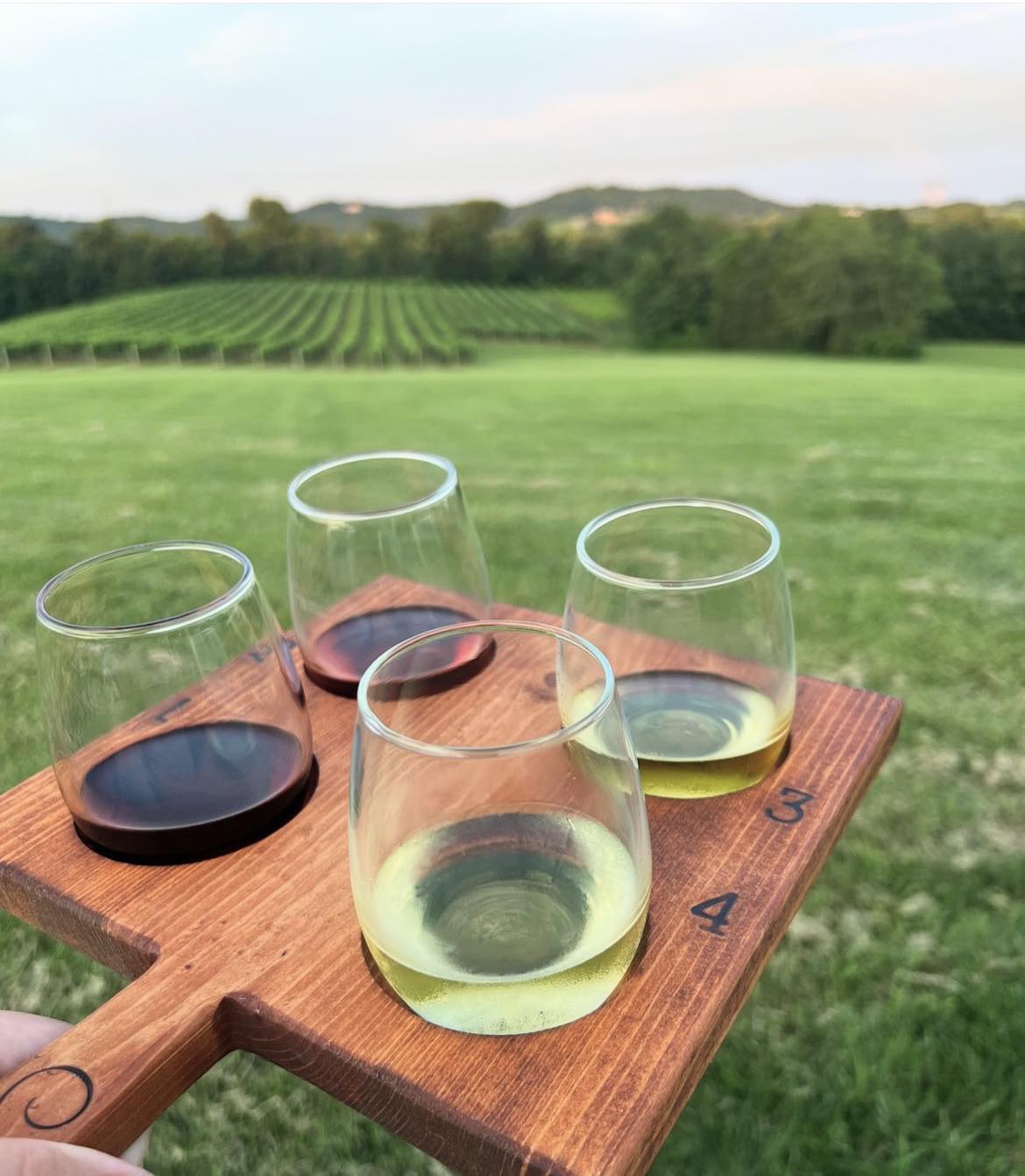 10 Places to Go for a Glass of Wine in St. Louis